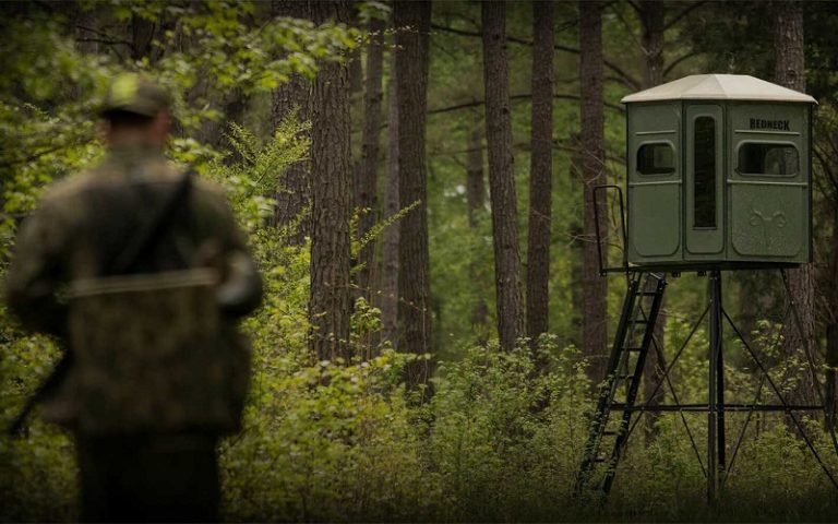 Tree Stand Hunting: Elevate Your Hunt With Expert Tips